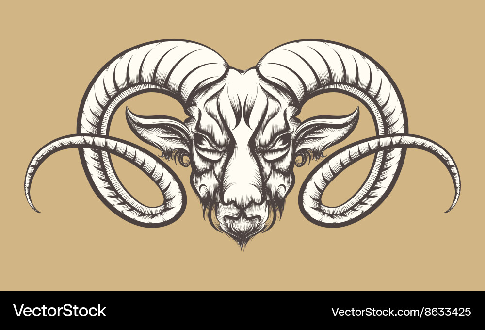 Head a ram Royalty Free Vector Image - VectorStock