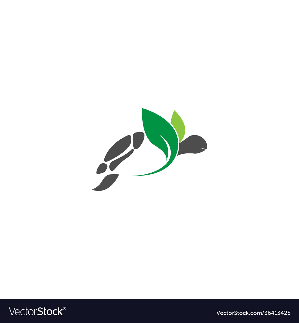 Turtle logo icon template design concept Vector Image