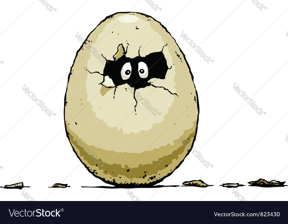 Egg hatch Royalty Free Vector Image - VectorStock