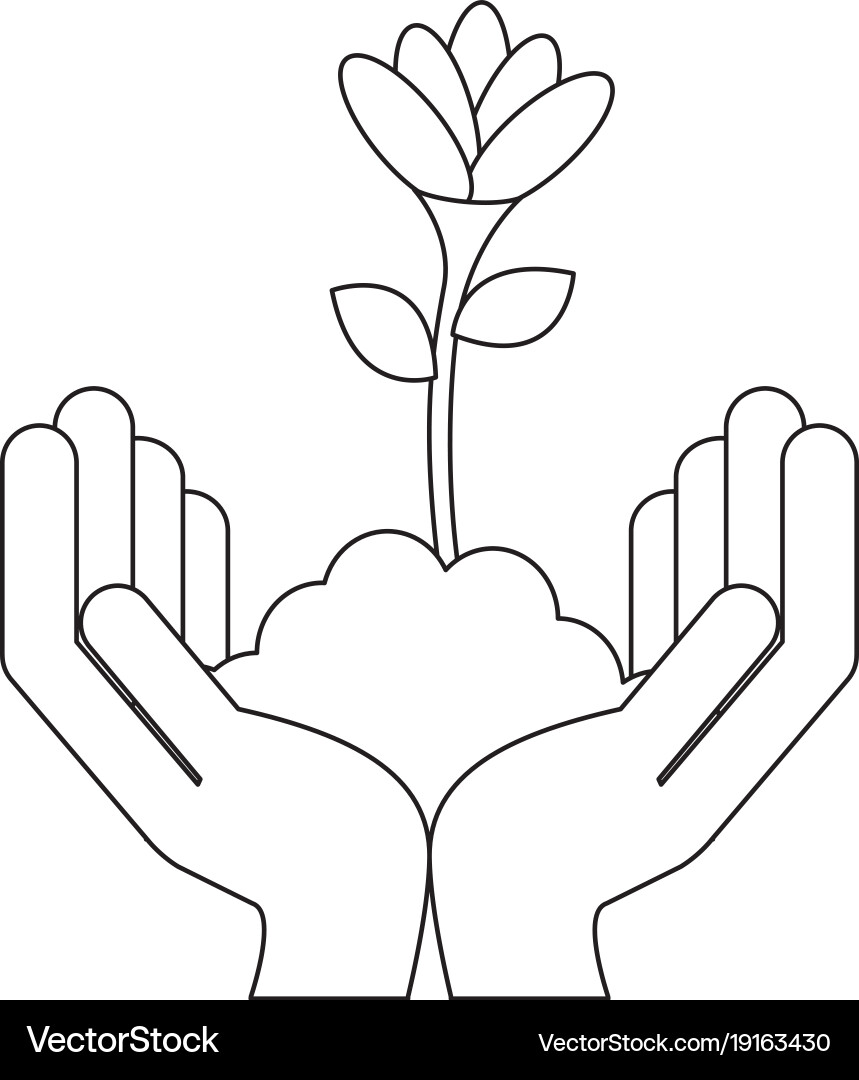 Hands with beautiful flower in grown Royalty Free Vector
