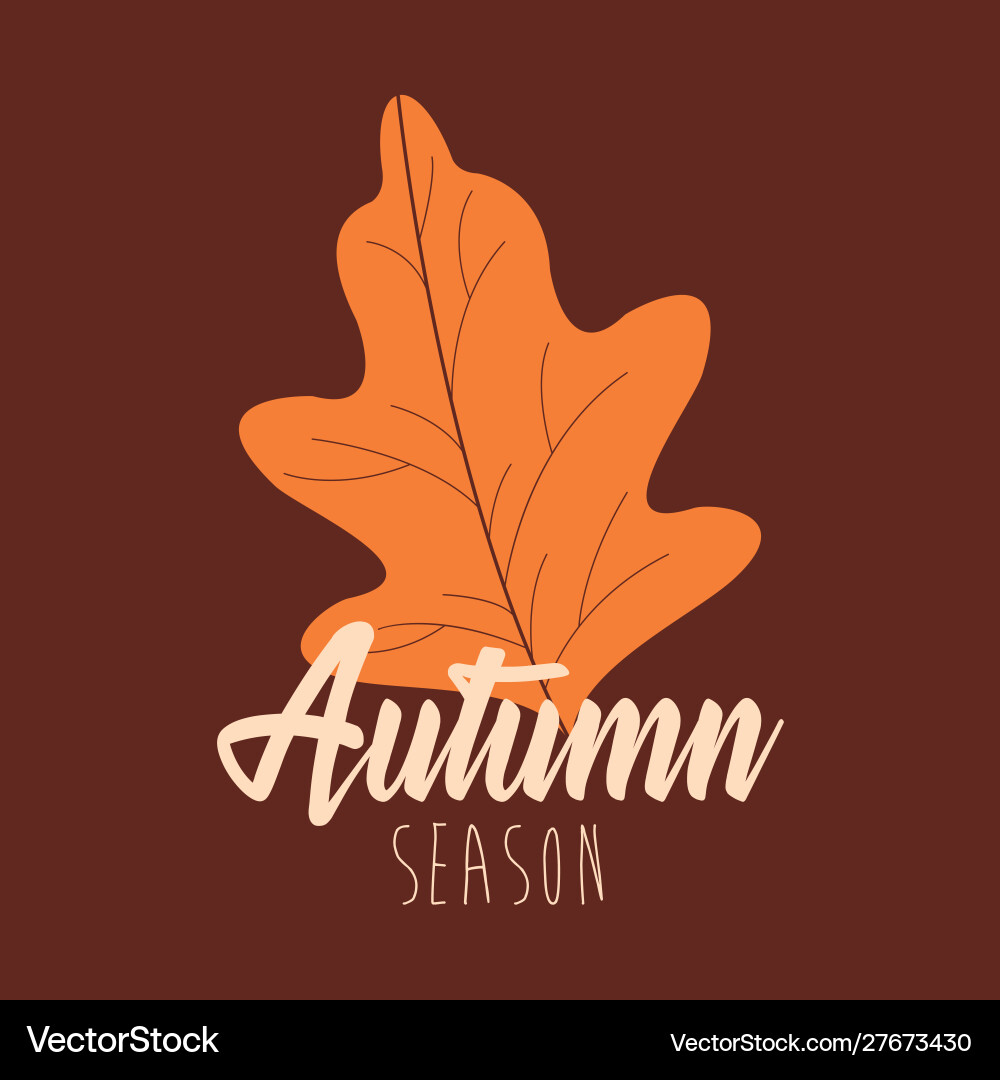 Hello autumn season leaf and calligraphy Vector Image