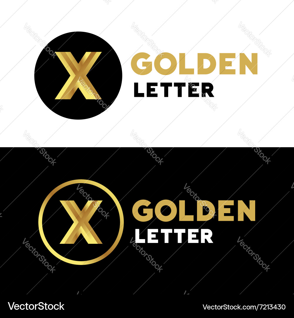 Letter x number 10 logo icon design template Vector Image