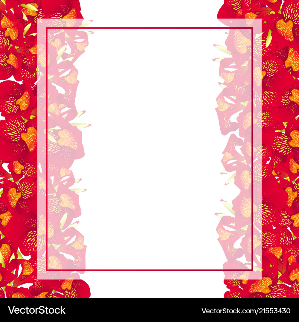 Red canna lily banner card border Royalty Free Vector Image