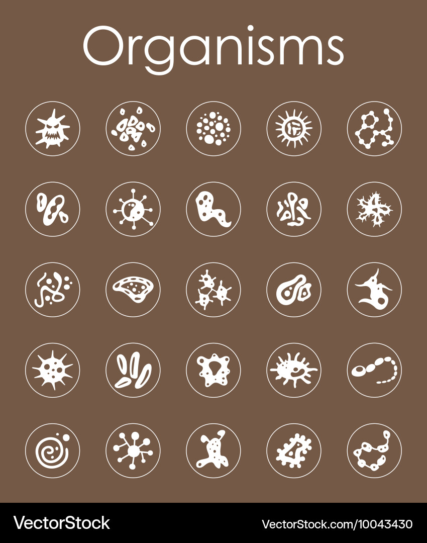 Set of organisms simple icons Royalty Free Vector Image
