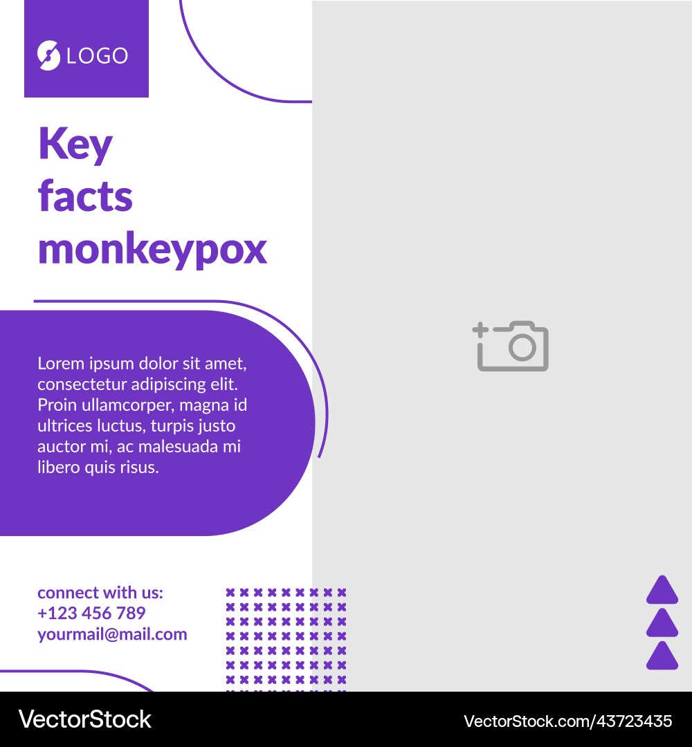 Banner key facts monkeypox template Royalty Free Vector