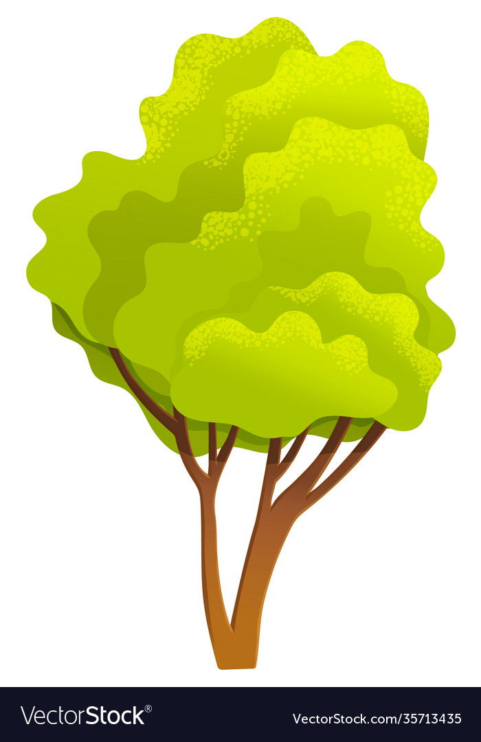 Green bright spring high tree with a lush crown Vector Image