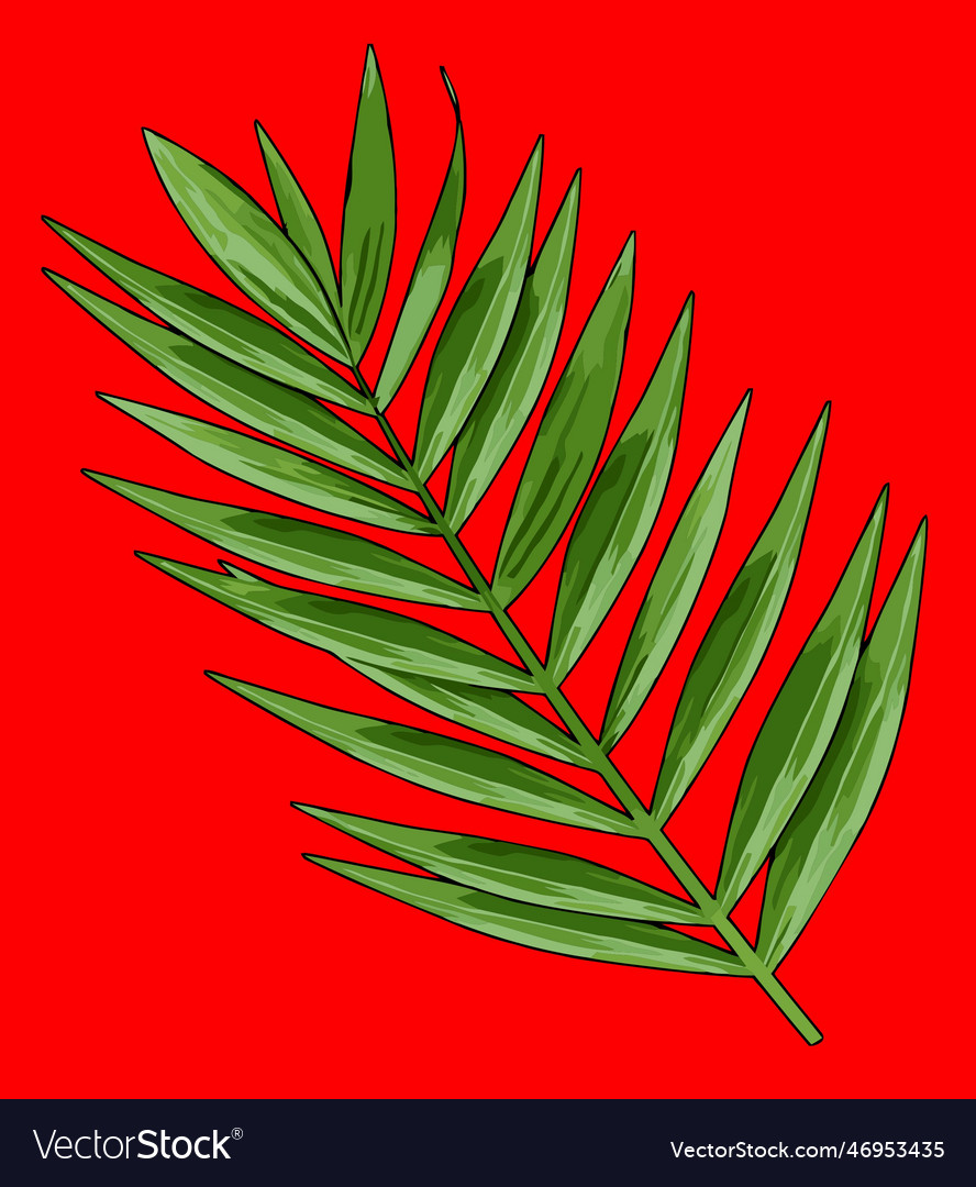 Leaf pattern for graphic design Royalty Free Vector Image