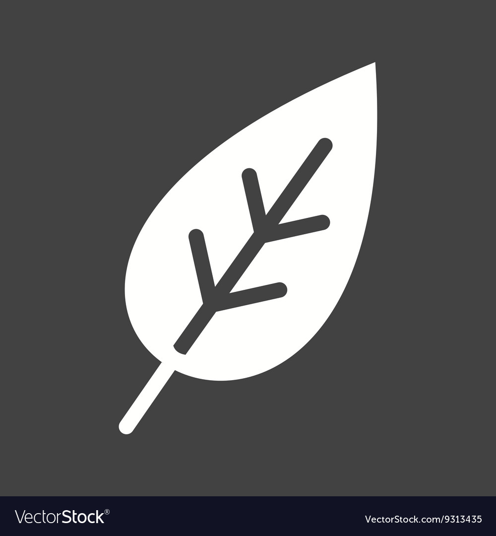 Leaf Royalty Free Vector Image - VectorStock