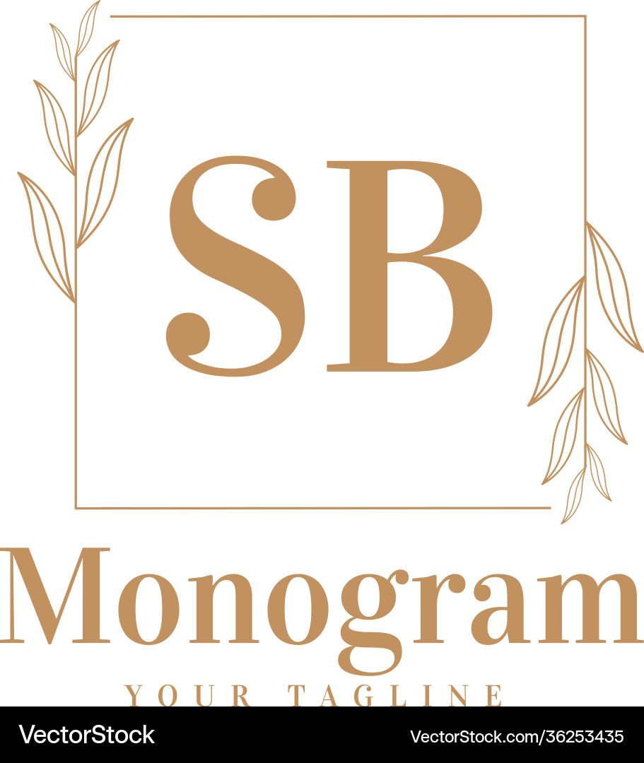 Sb initial a logo design with feminine style Vector Image