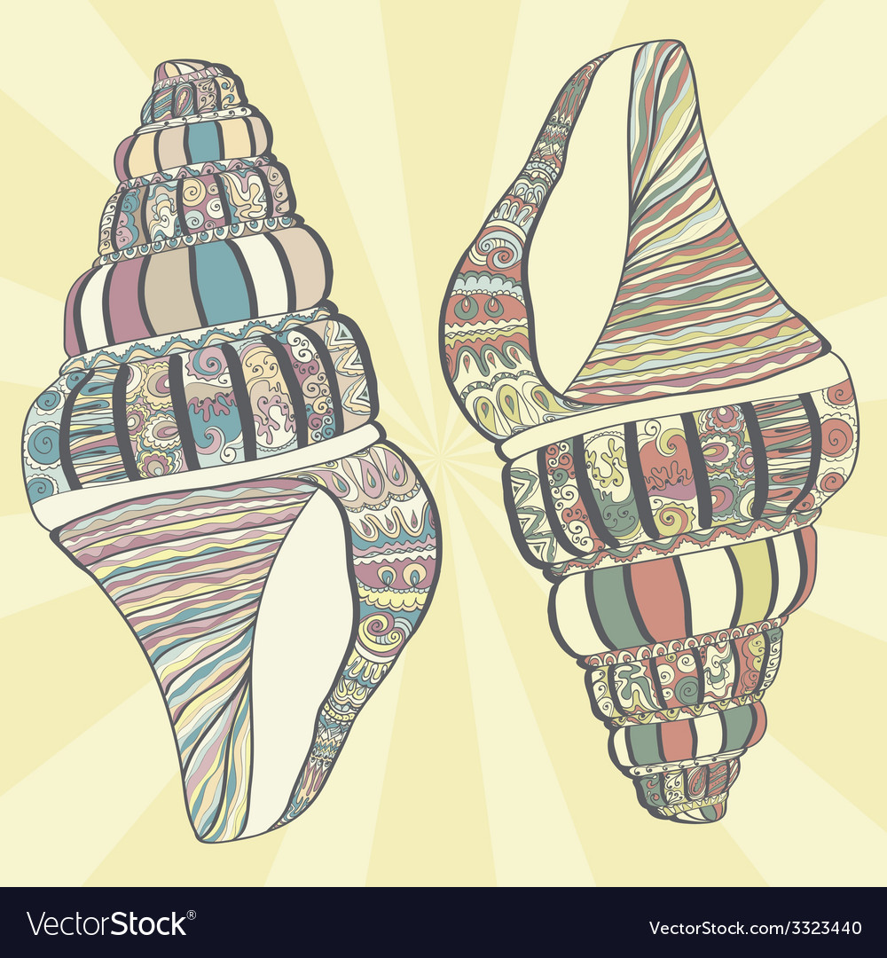 Seashell17 Royalty Free Vector Image - VectorStock