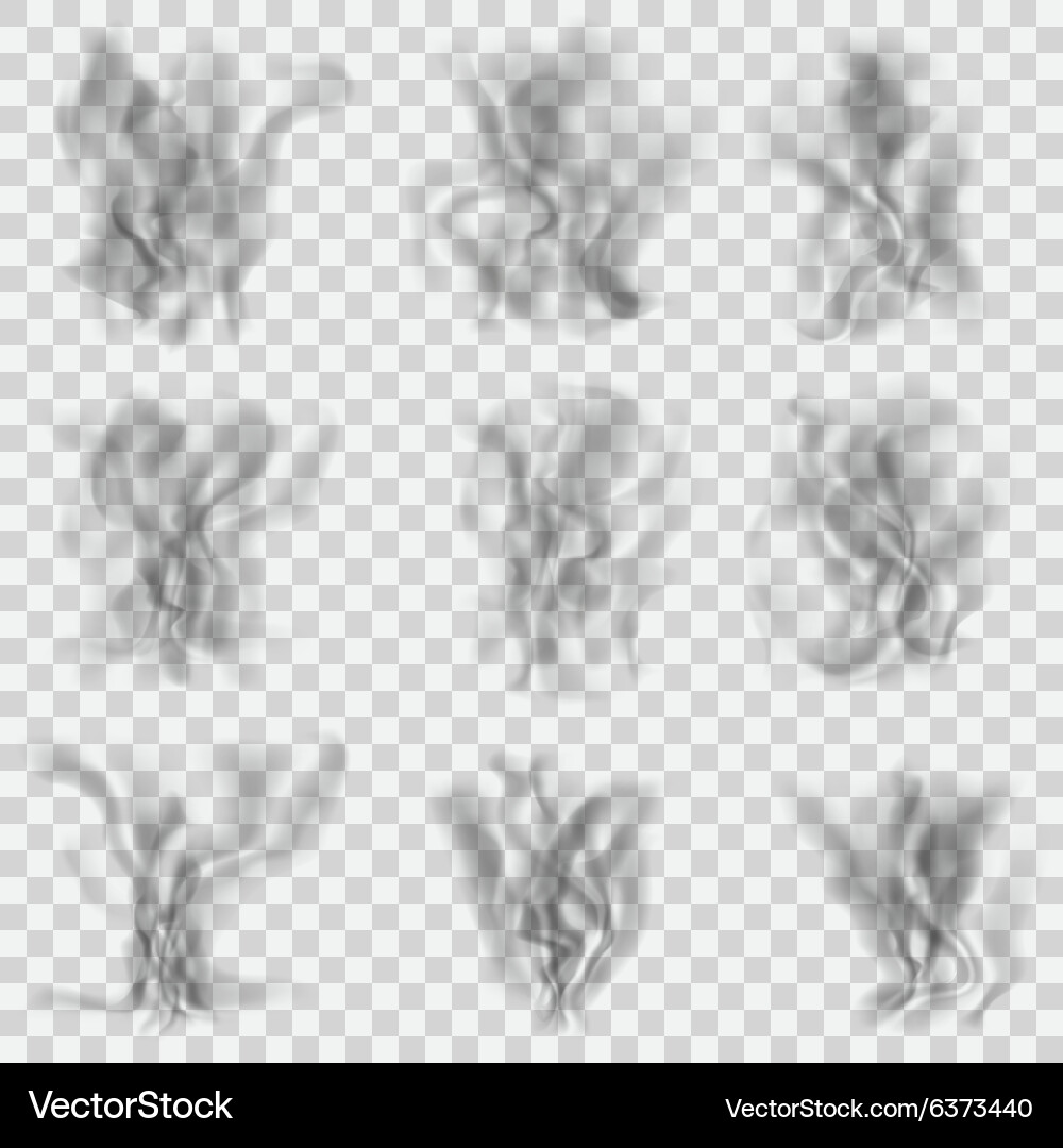 Set of translucent gray smoke Royalty Free Vector Image