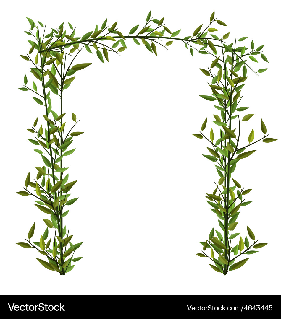 Arch twined bamboo branch green leafs Royalty Free Vector