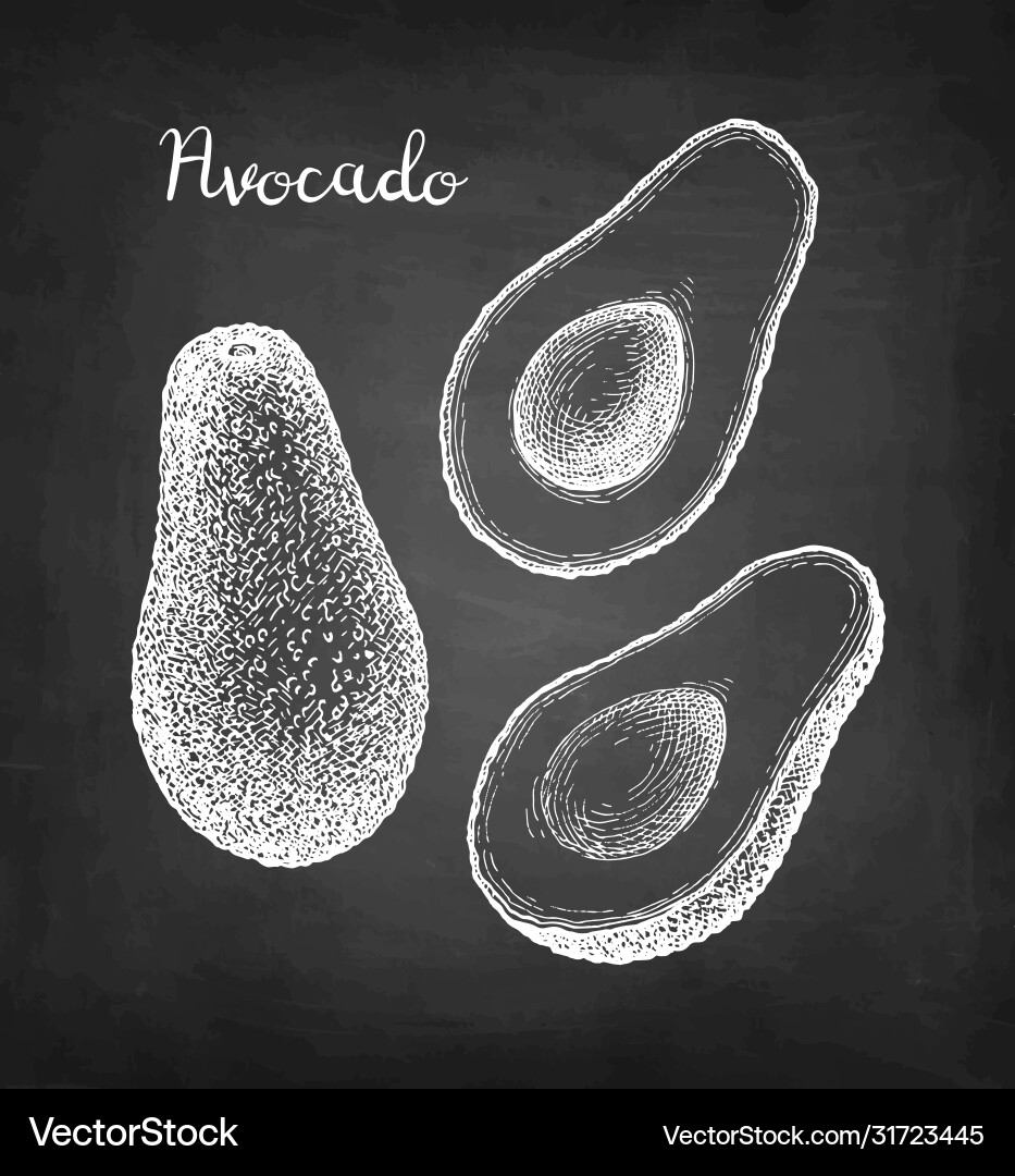 Chalk sketch avocado Royalty Free Vector Image