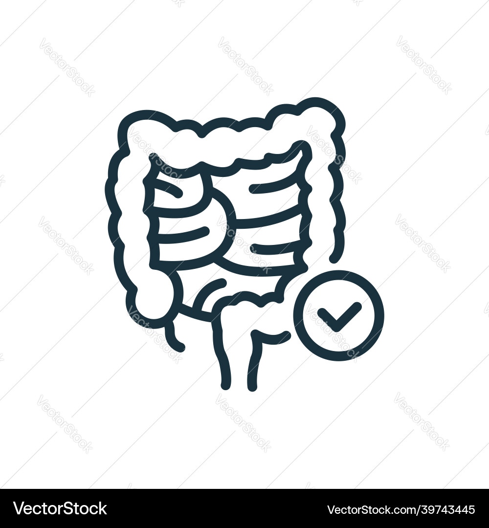 Healthy colon line icon internal digestive human Vector Image