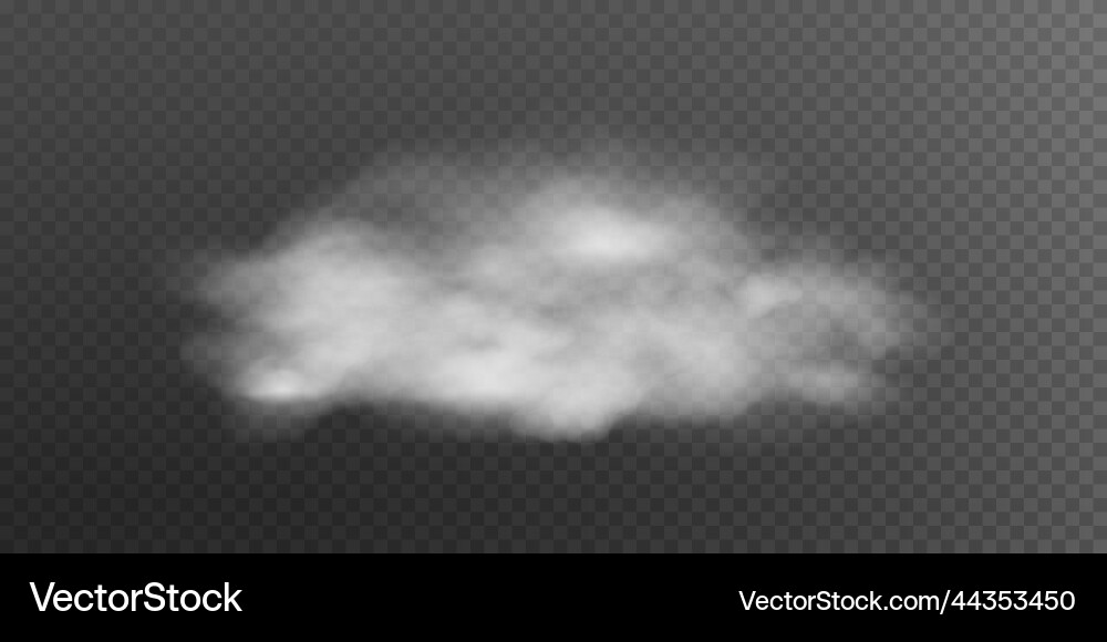 Fog or smoke isolated transparent special effect Vector Image