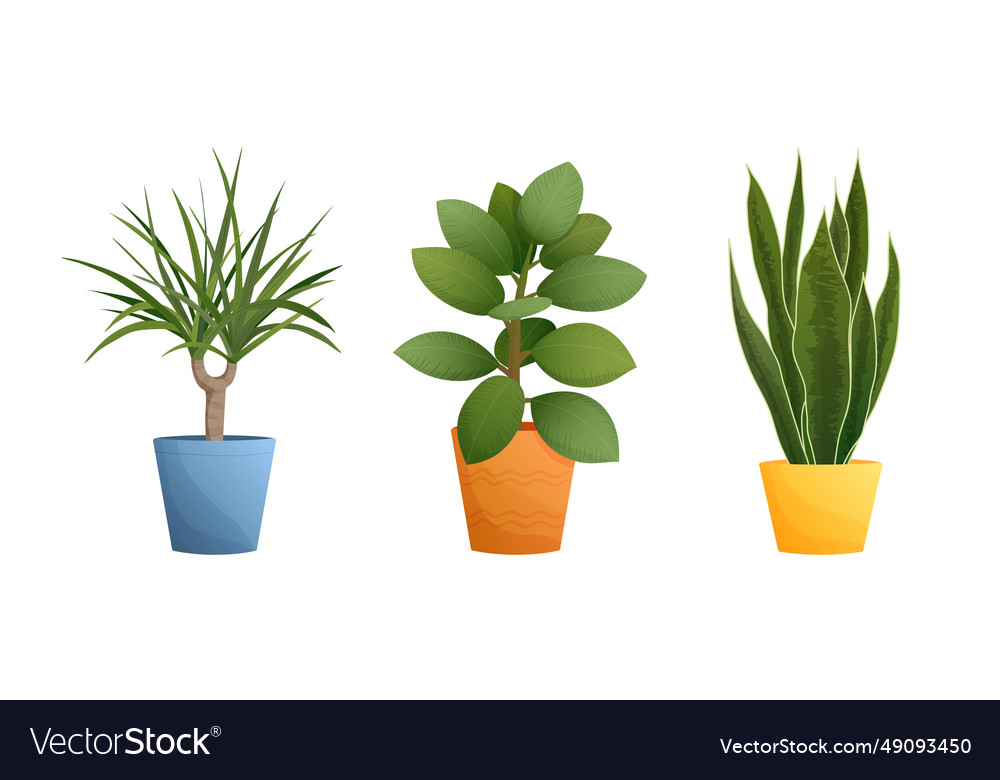 House plats in pots cartoon Royalty Free Vector Image
