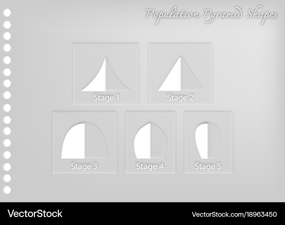 Paper art of different types population pyramid Vector Image