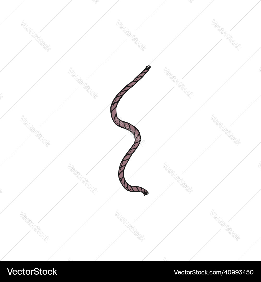 Rope lasso doodle sketch isolated Royalty Free Vector Image