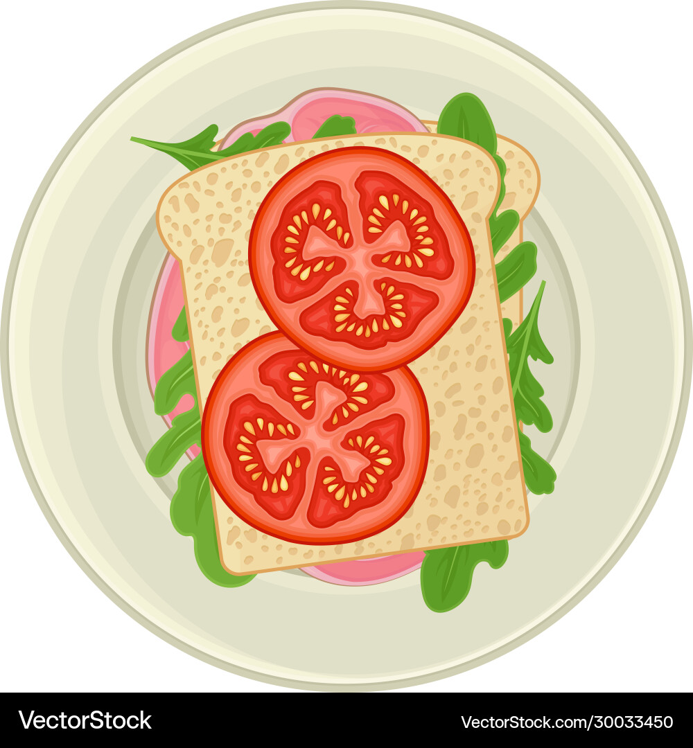Sandwich with sliced ham and greenery served Vector Image