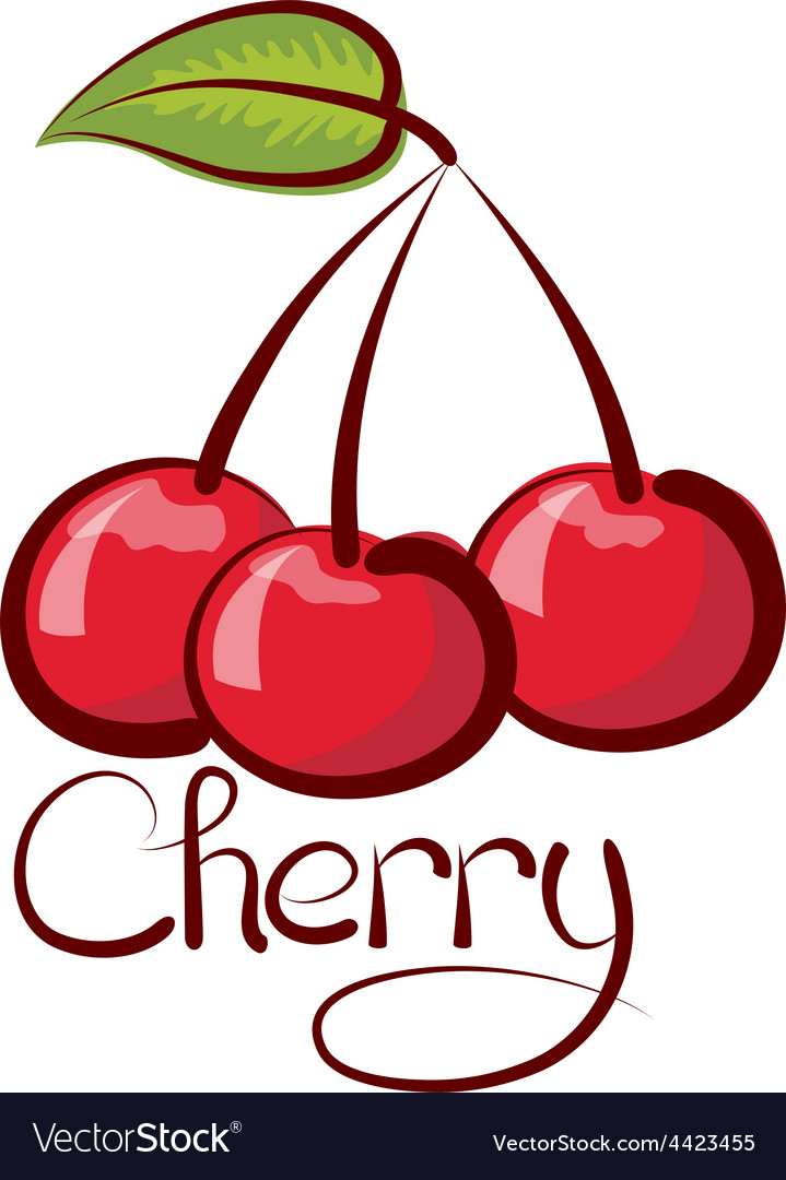 Cherry Royalty Free Vector Image - VectorStock