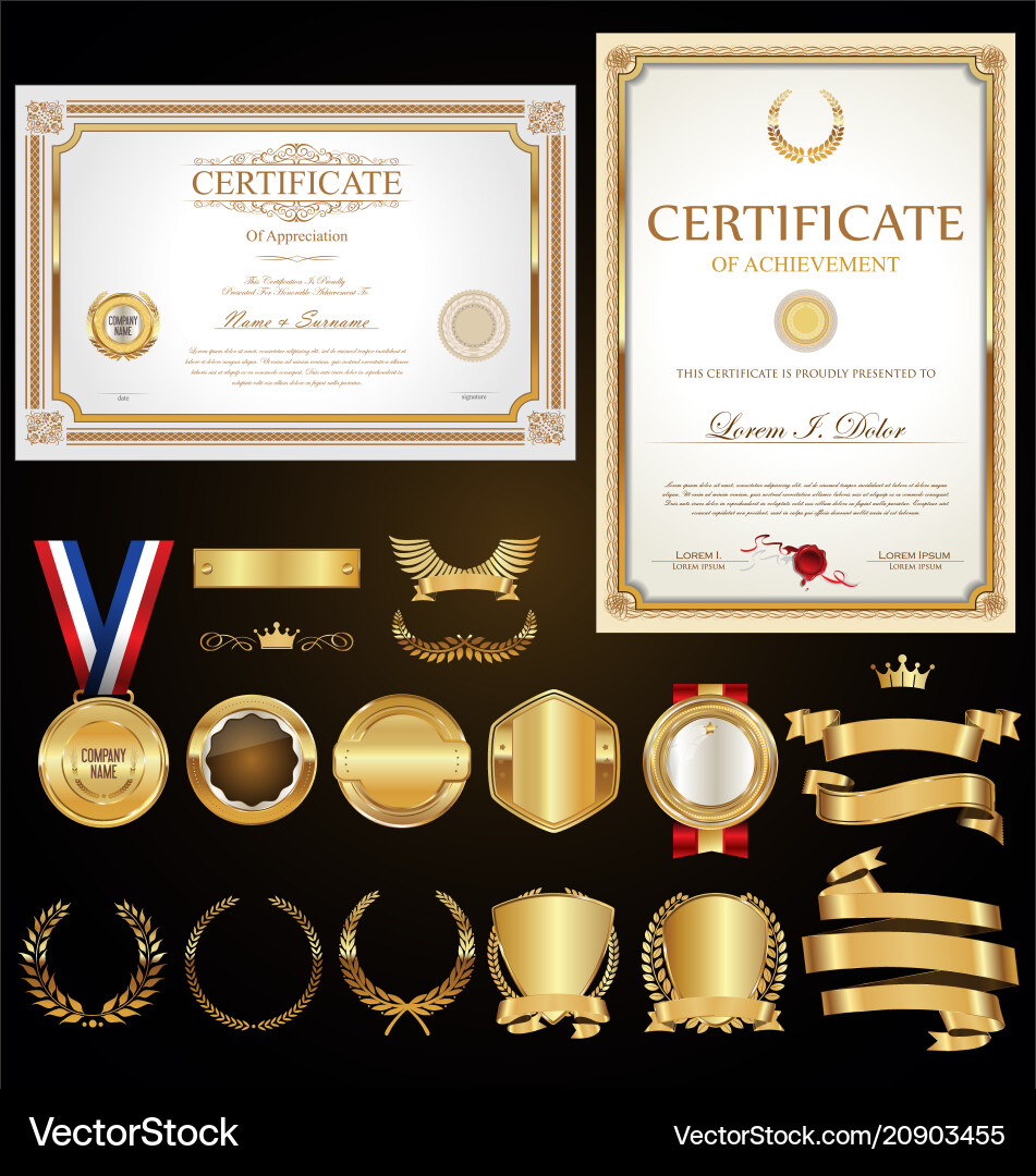 Collection of certificate badges labels shields Vector Image