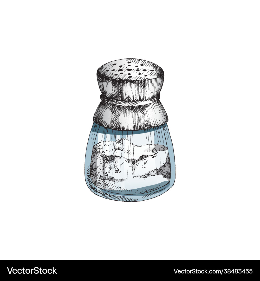 Glass salt shaker container engraving monochrome Vector Image