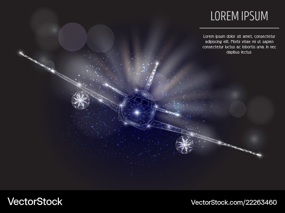 Airlines concept geometric polygonal art Vector Image