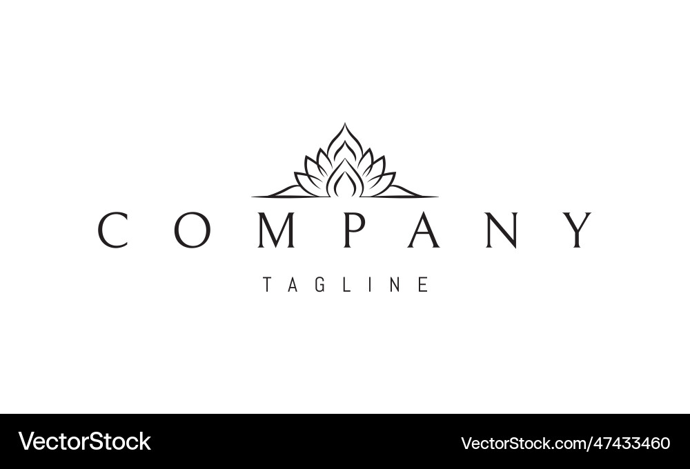 Logo on which an abstract image of a drop Vector Image