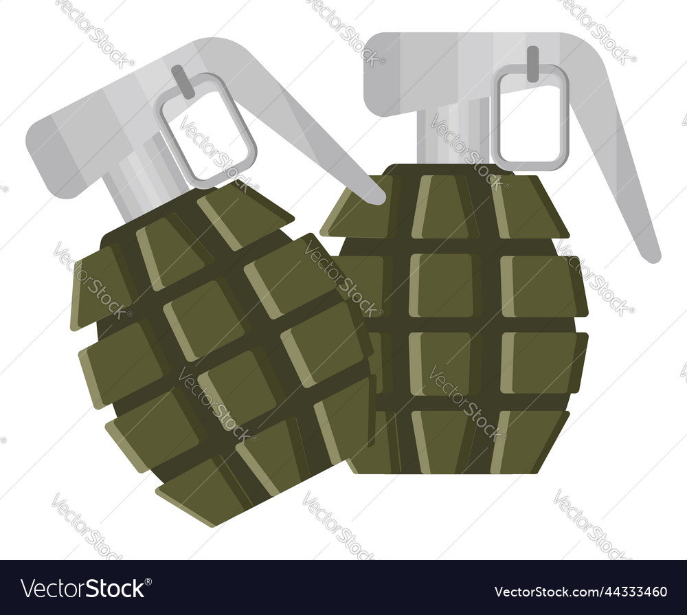 Two green grenades on a white background Vector Image
