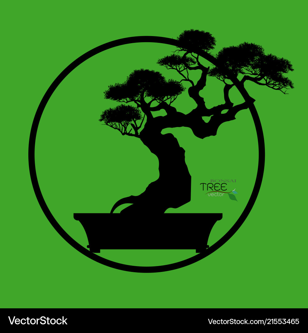 Bonsai tree japanese and chinese trees Royalty Free Vector