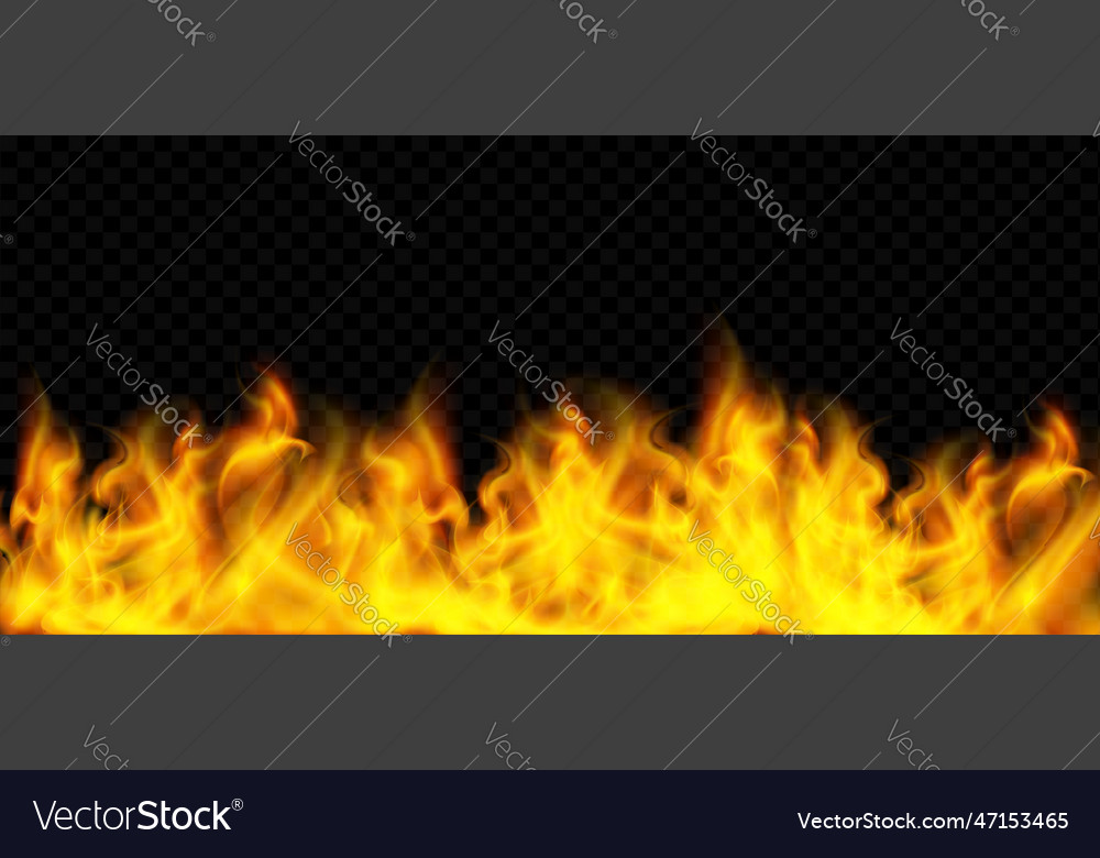 Fire texture mockup flame pattern isolated Vector Image