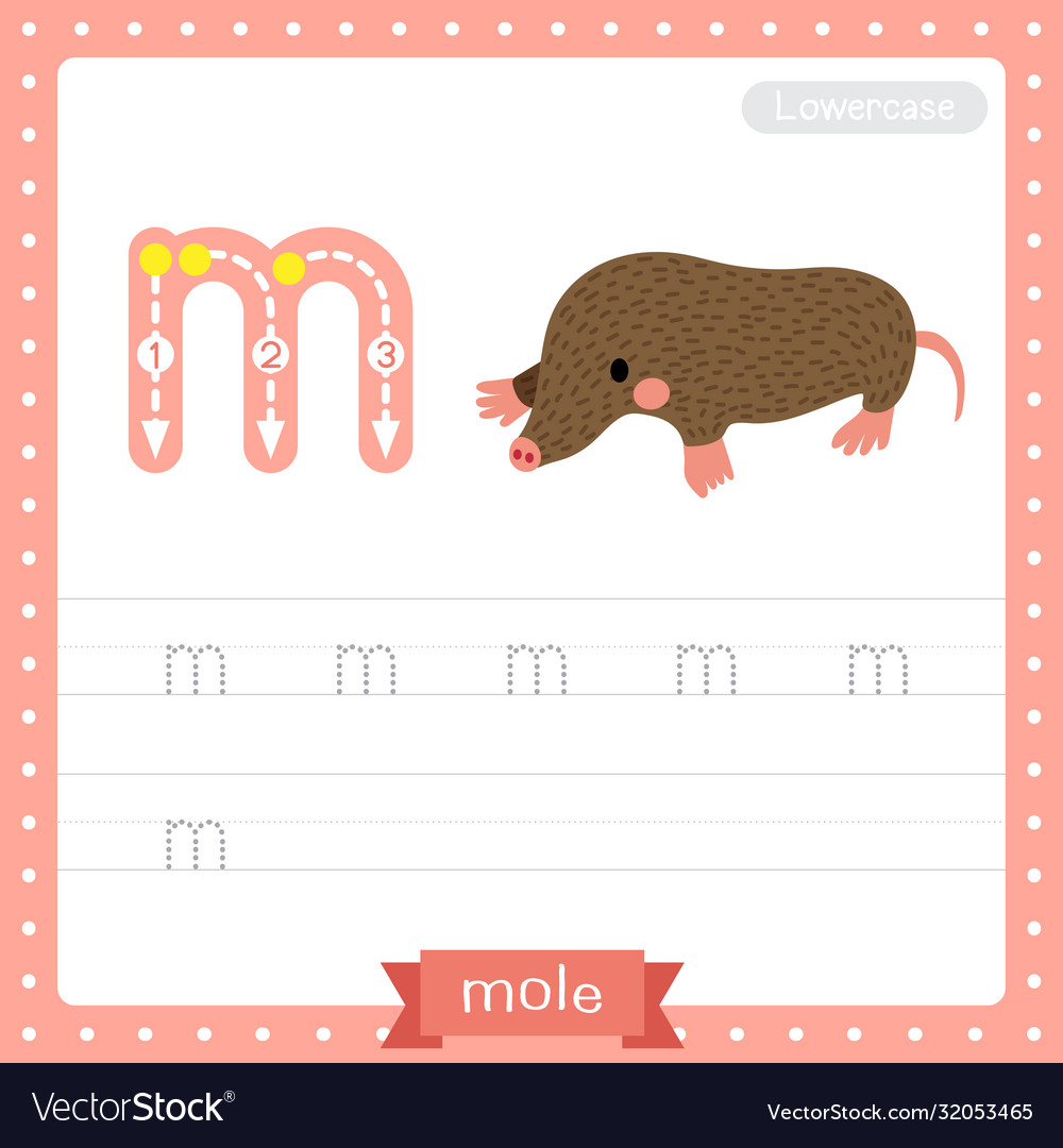 Letter m lowercase tracing practice worksheet of Vector Image Letter m lowercase tracing practice worksheet of Vector Image