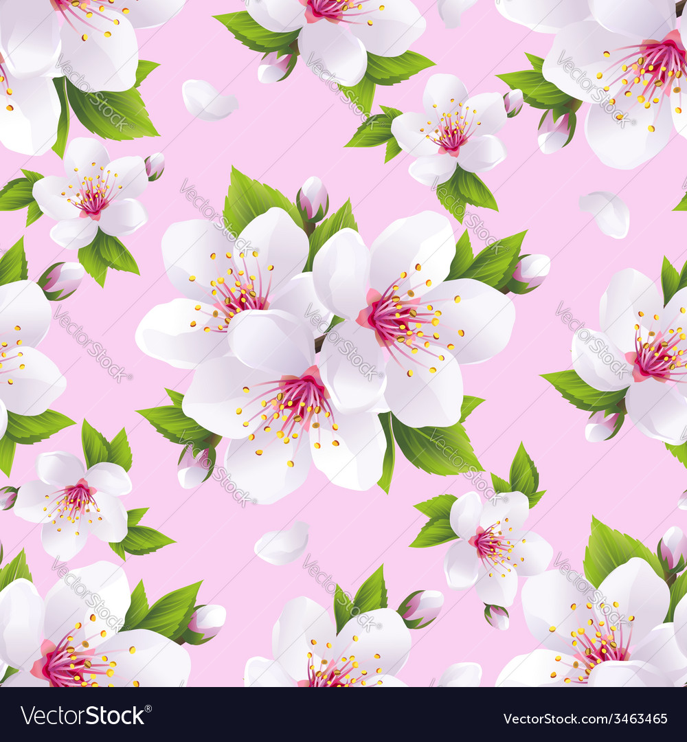 Seamless pattern background with sakura Royalty Free Vector