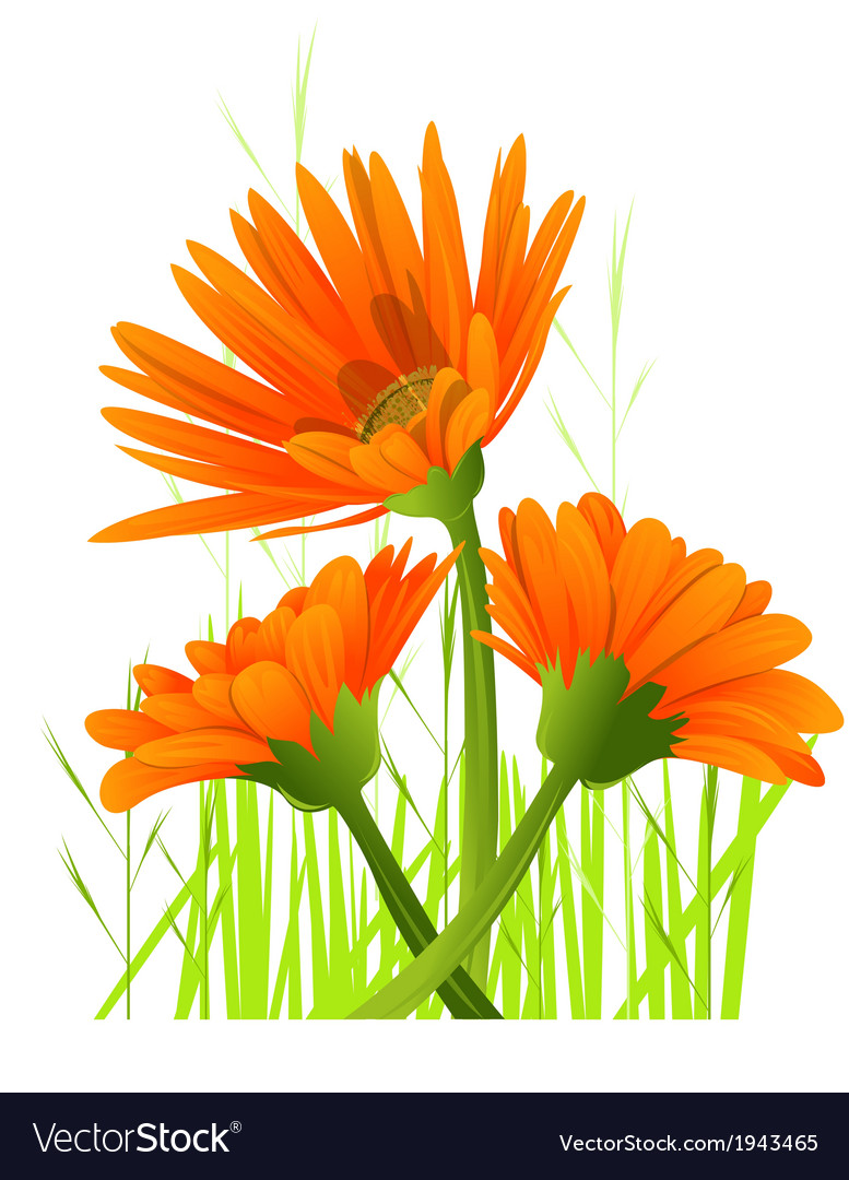 Spring background Royalty Free Vector Image - VectorStock