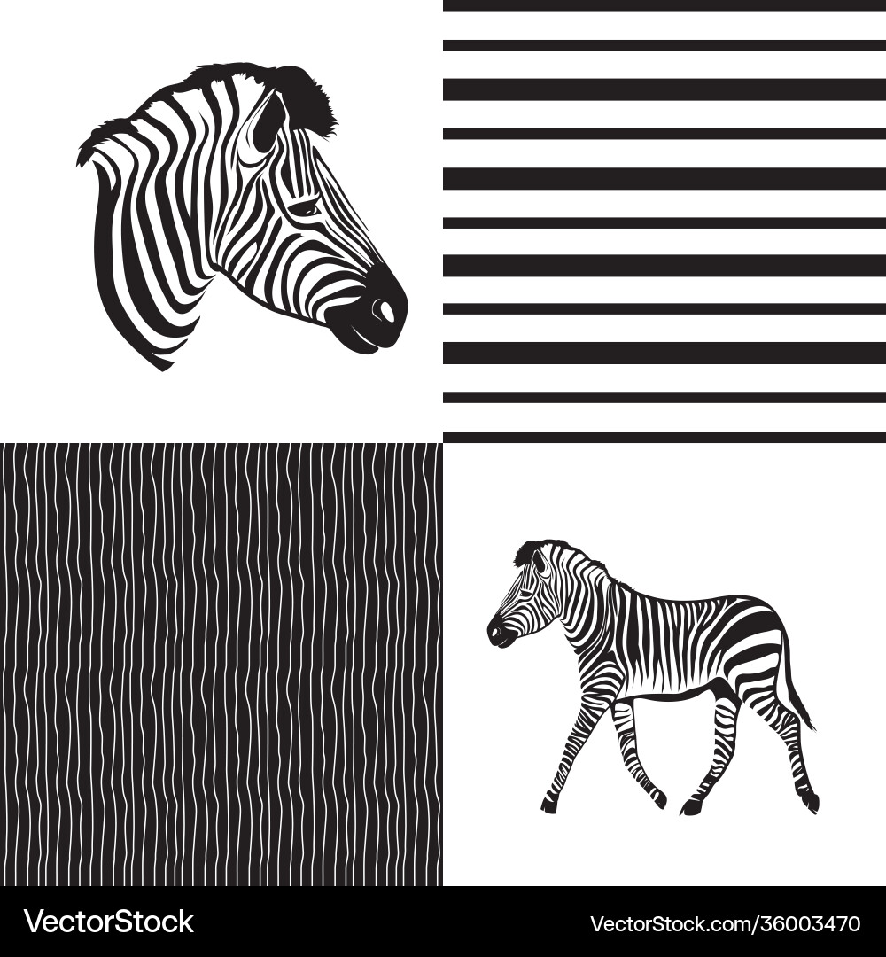 Seamless animal pattern skin fur zebra pack Vector Image