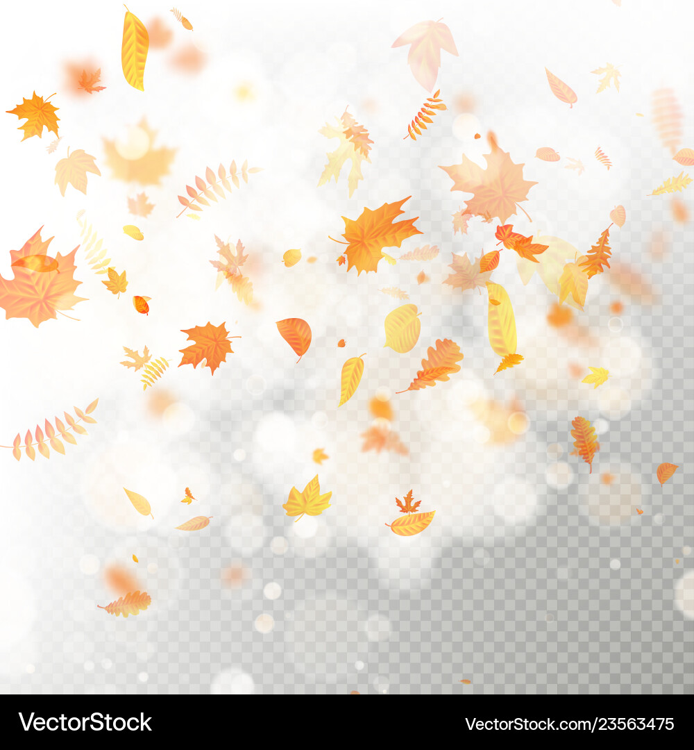 Effect of autumn falling leaves layer with shallow