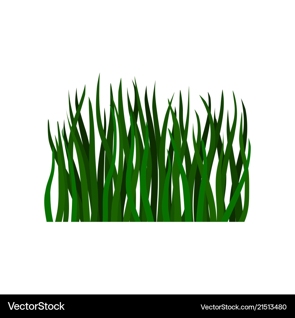 Flat of long green grass Royalty Free Vector Image