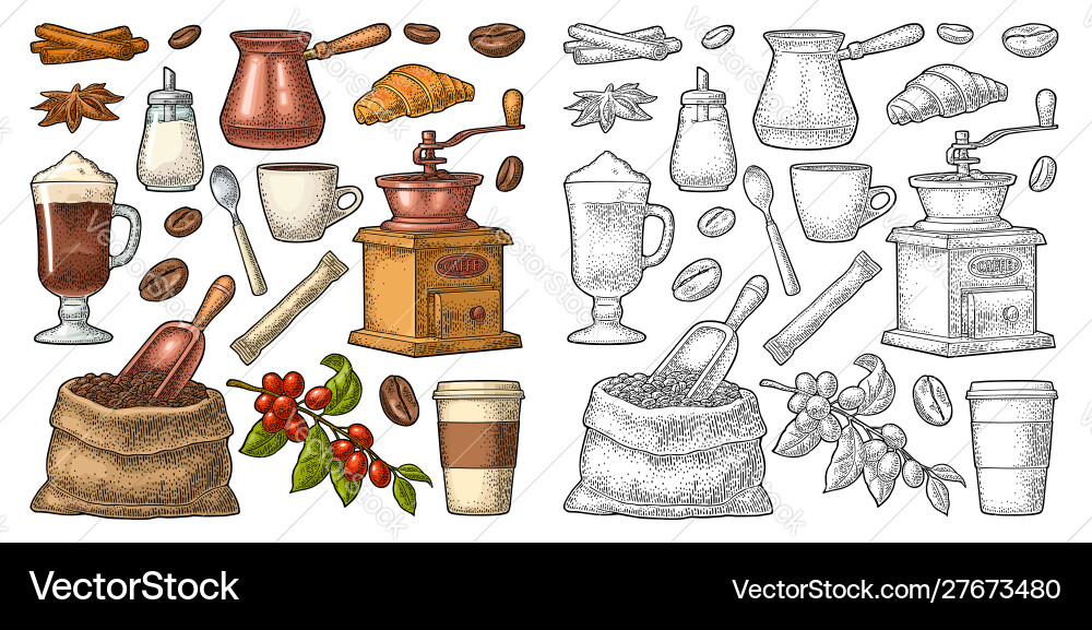Set coffee sugar beans spoon glass latte Vector Image