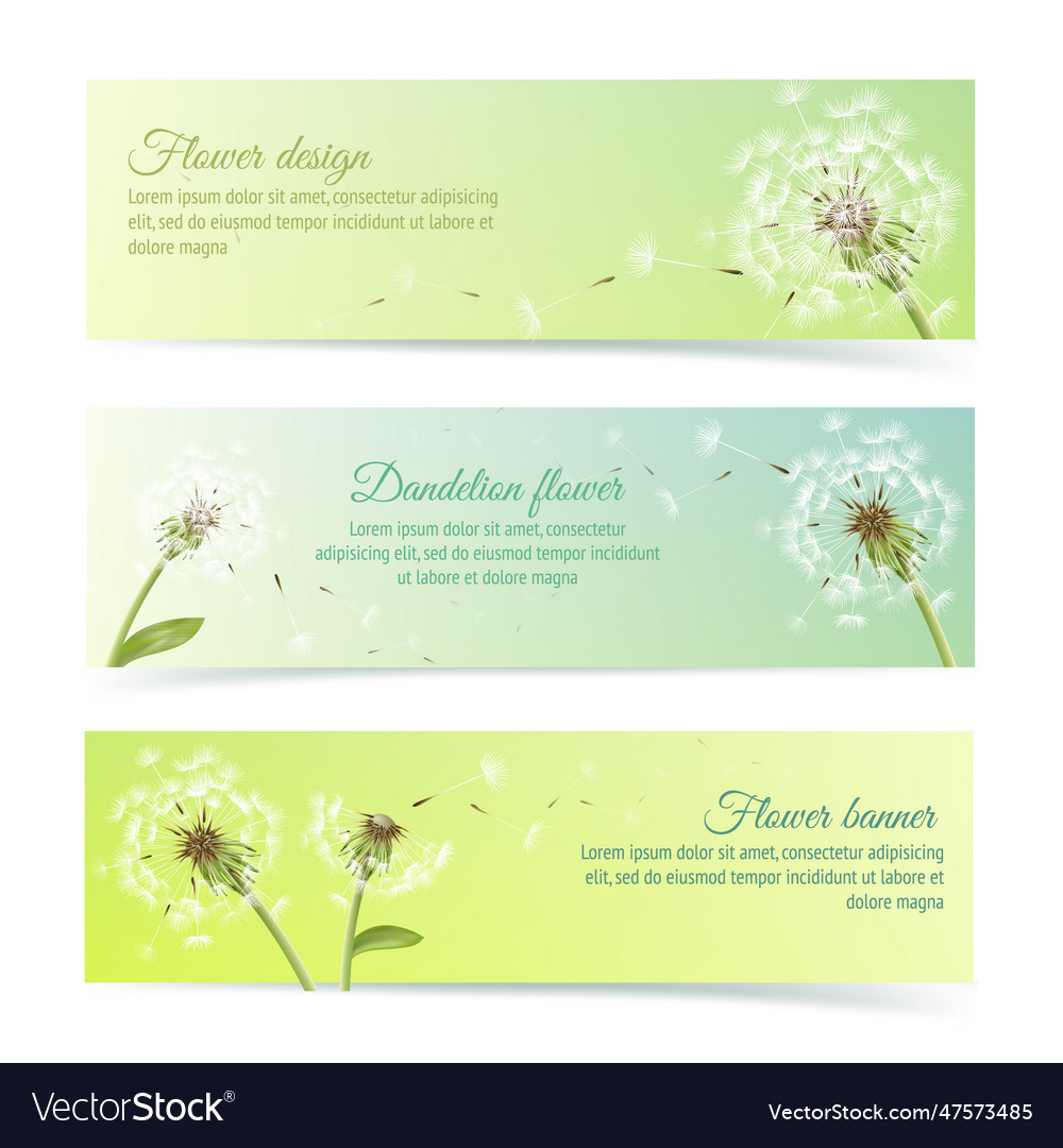 Collection of banners and ribbons with dandelion Vector Image