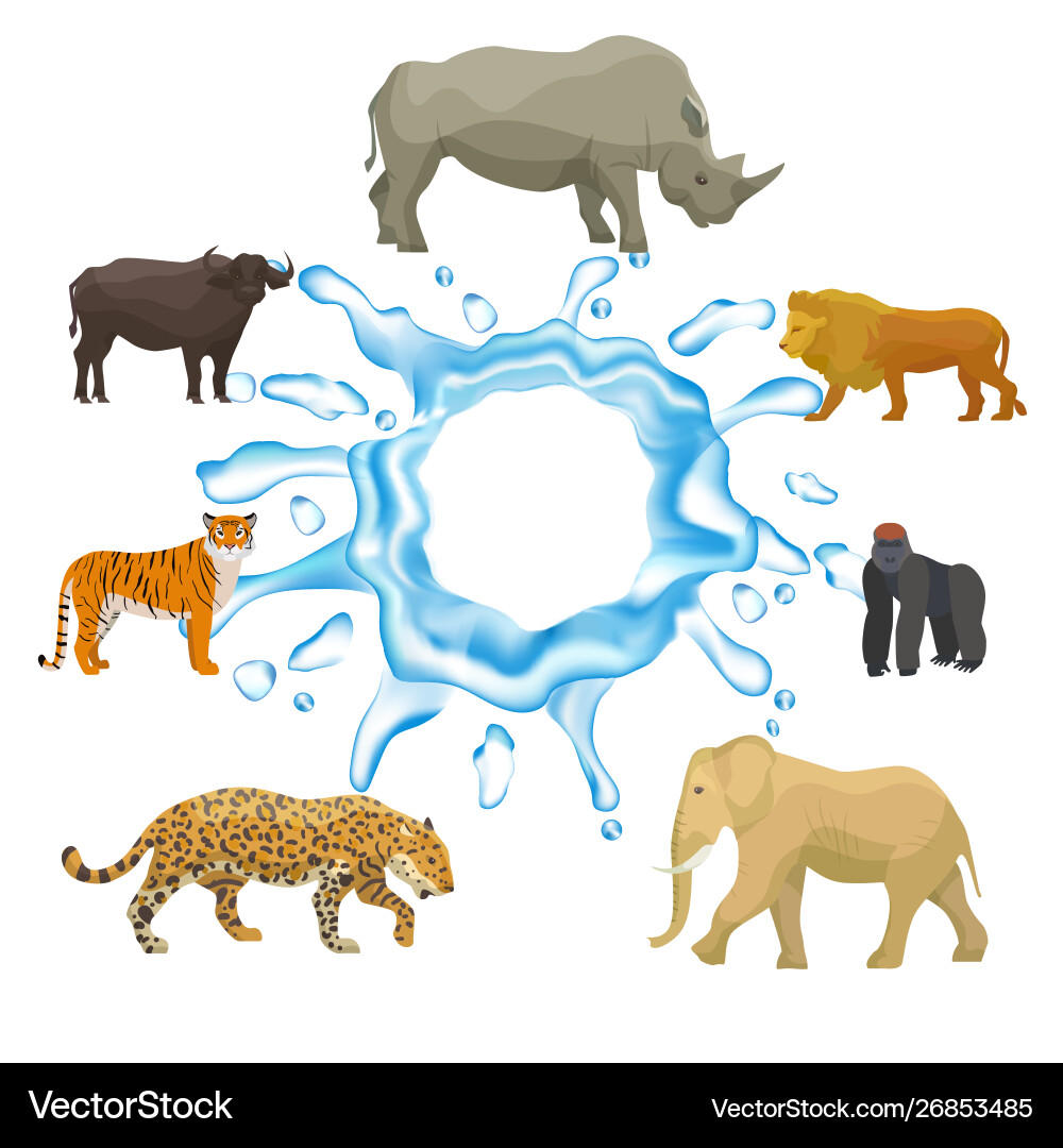 Wild animals with splash water isolated on Vector Image