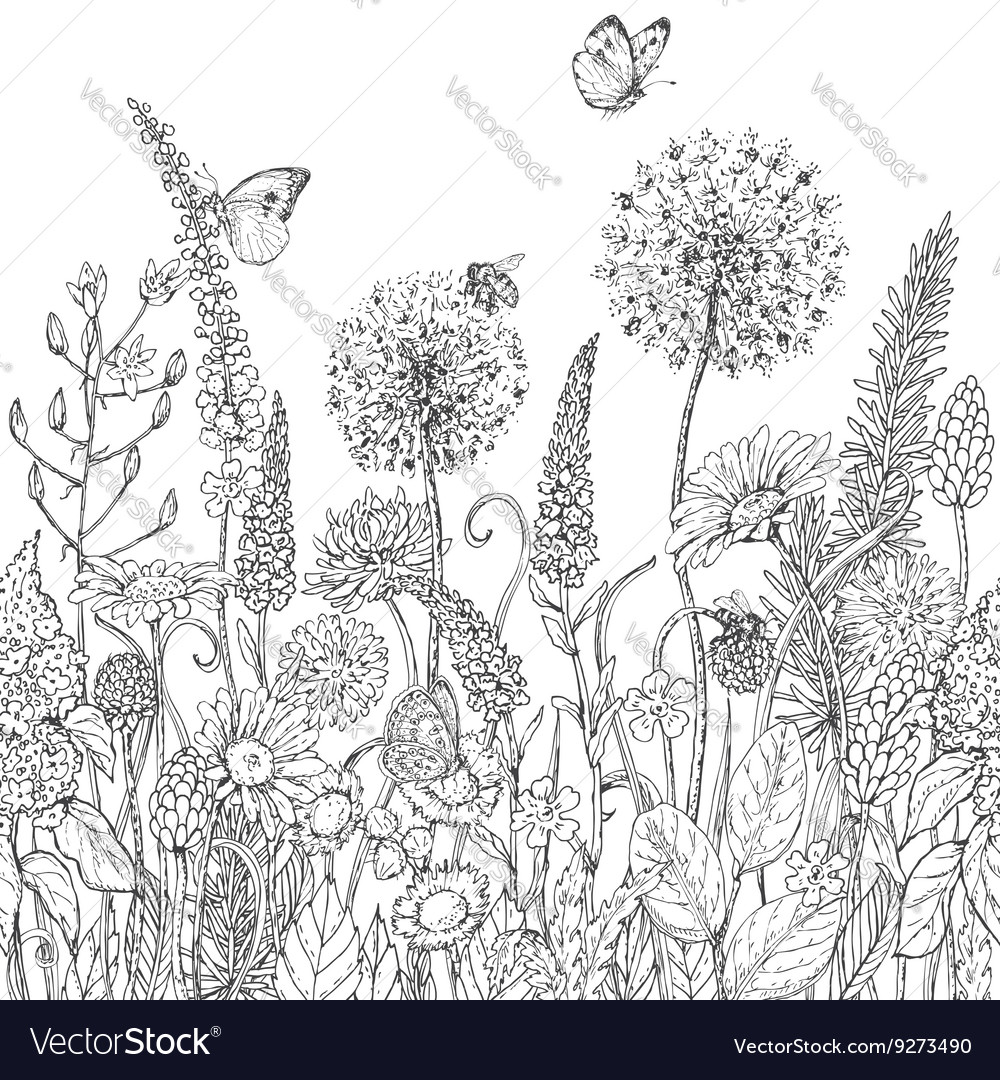 Doodle flowers pattern Royalty Free Vector Image