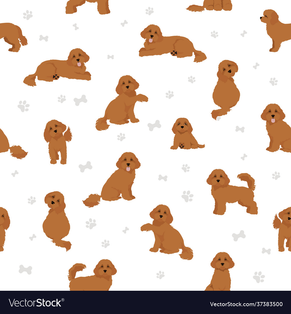 Cavapoo mix breed seamless pattern different Vector Image