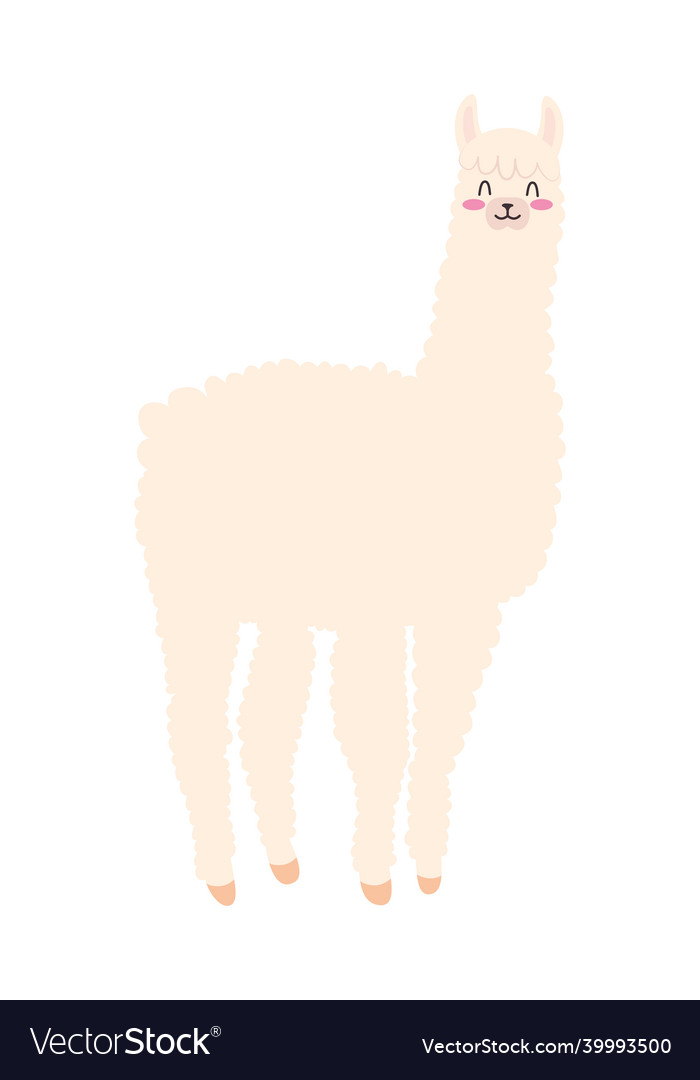 Cute llama design Royalty Free Vector Image - VectorStock