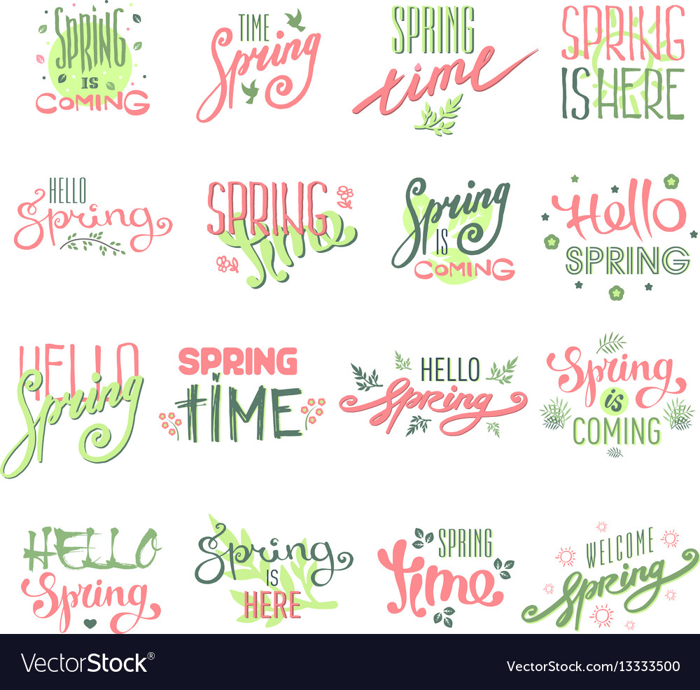 Spring time lettering text for greeting card Vector Image