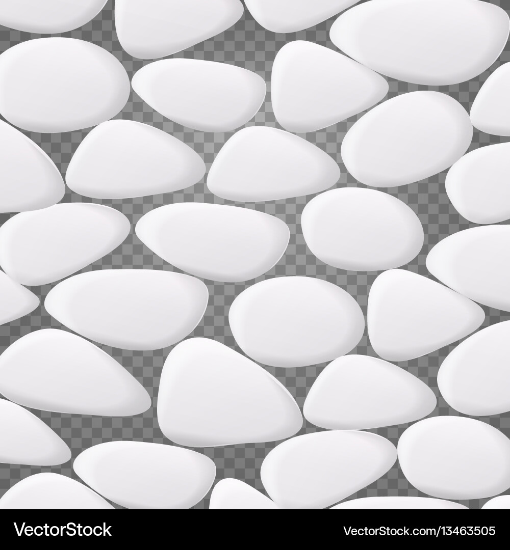 White pebble natural realistic 3d stones Vector Image