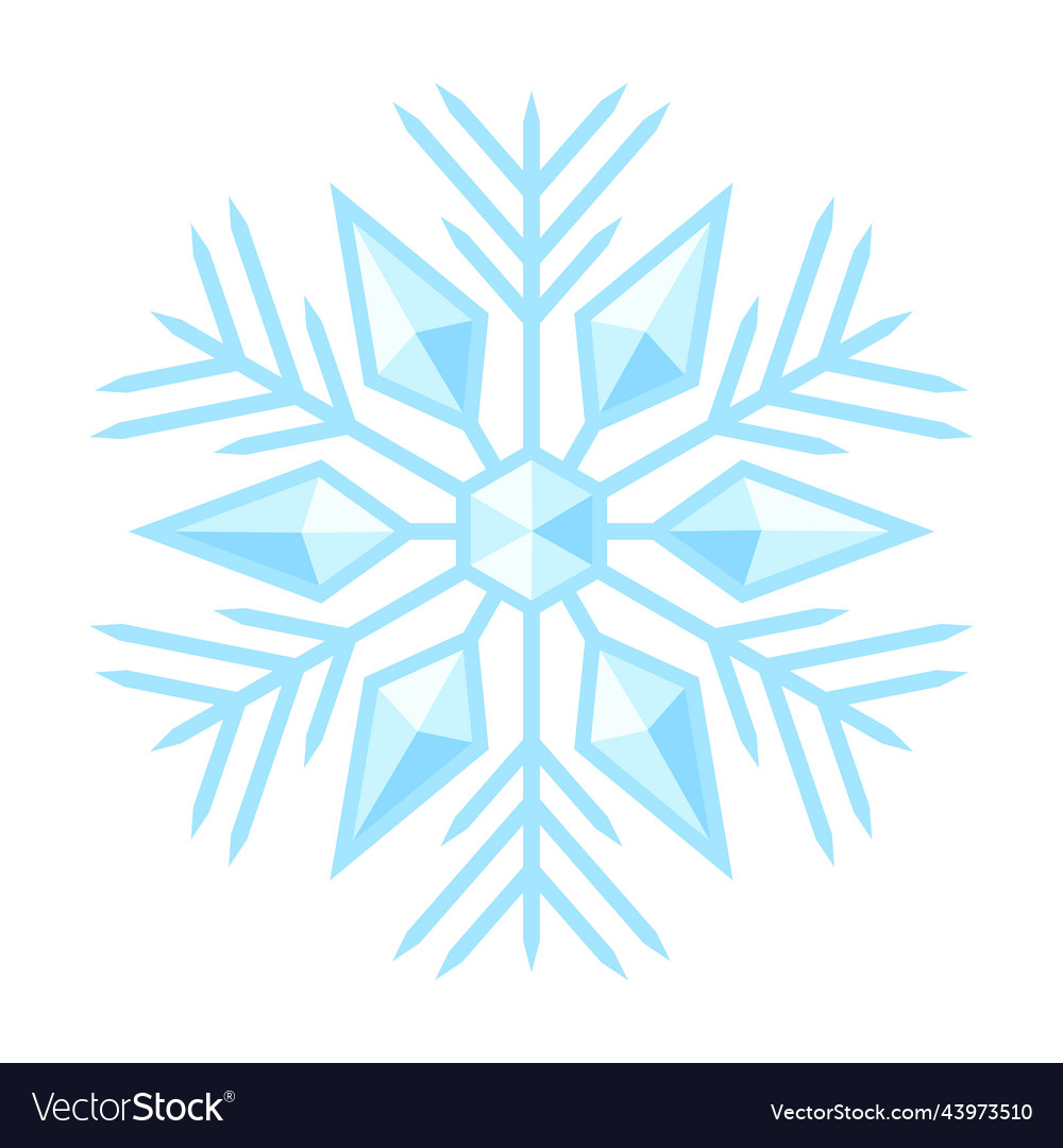 Snowflake winter decoration Royalty Free Vector Image