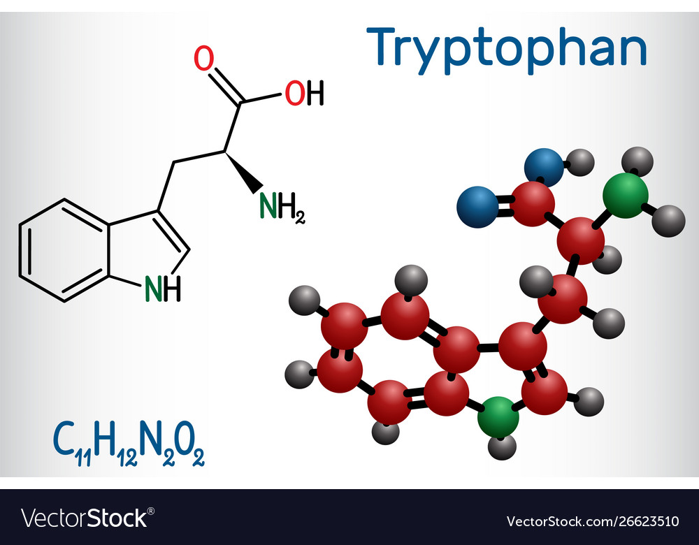 Tryptophan trp or w amino acid molecule Royalty Free Vector