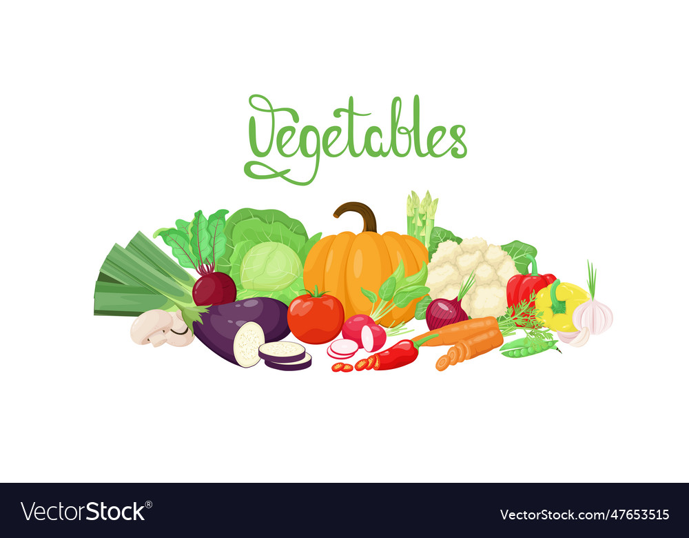 A set of vegetables Royalty Free Vector Image - VectorStock