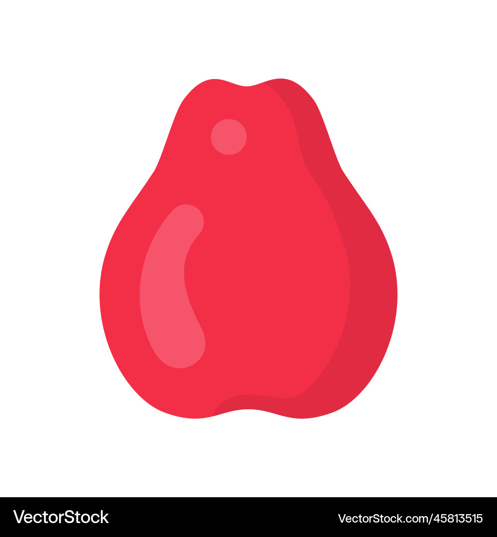 Cute rose apple or chompu exotic fruit isolated Vector Image