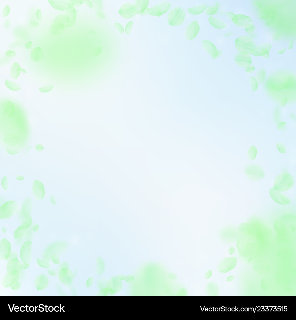 Green flower petals falling down stylish romantic Vector Image